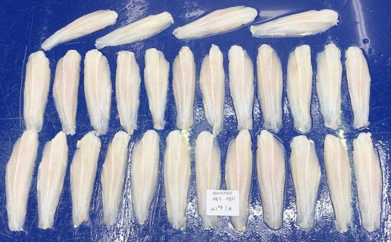 Pangasius Market in Tension: Rising Prices and Looming Shortages — What ...